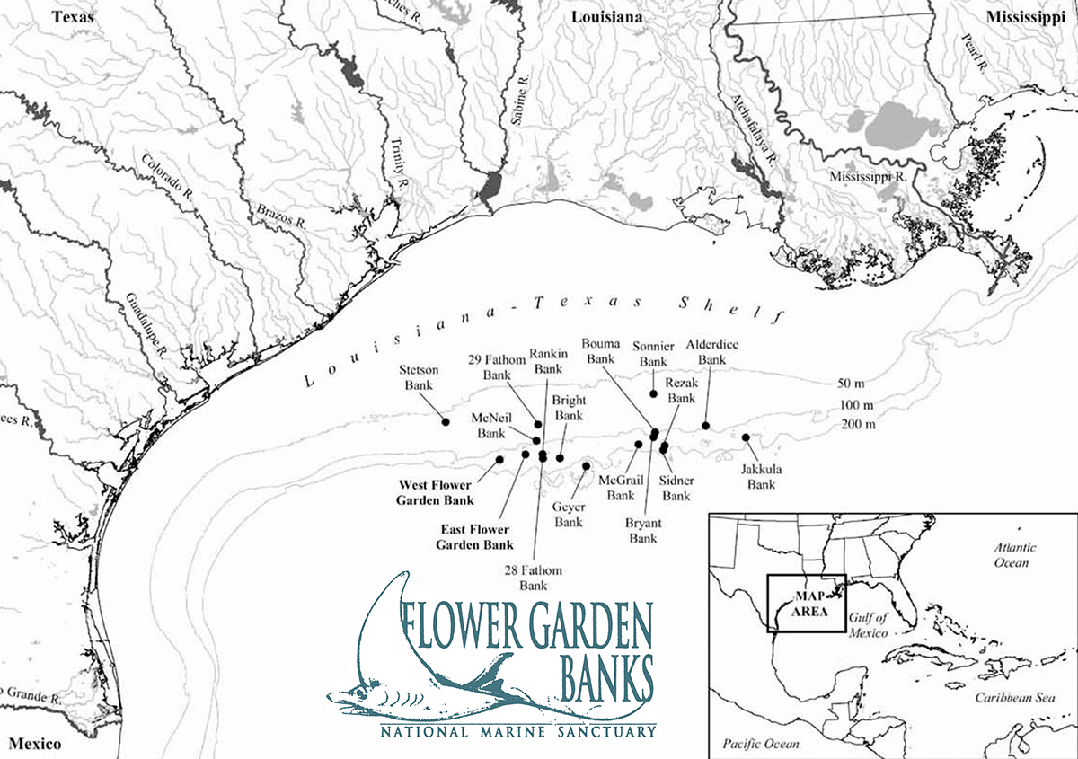 Gulf of Mexico’s Enigma Reefs - Underwater Journal