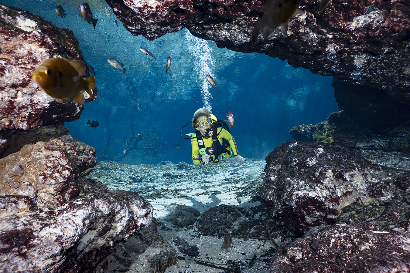 Ginnie Springs, Florida’s Cave Diving Mecca and More - Underwater Journal