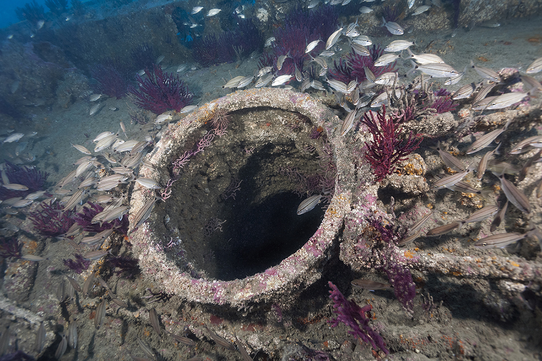 The U-352: North Carolina’s German U-Boat Wreck - Underwater Journal