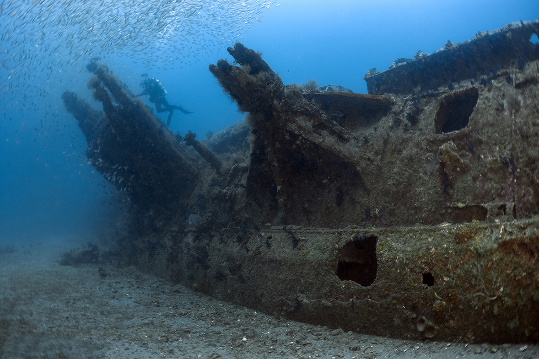 The U-352: North Carolina’s German U-Boat Wreck - Underwater Journal
