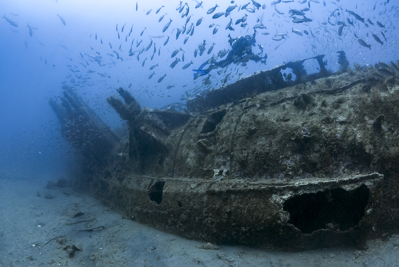 The U-352: North Carolina’s German U-Boat Wreck - Underwater Journal