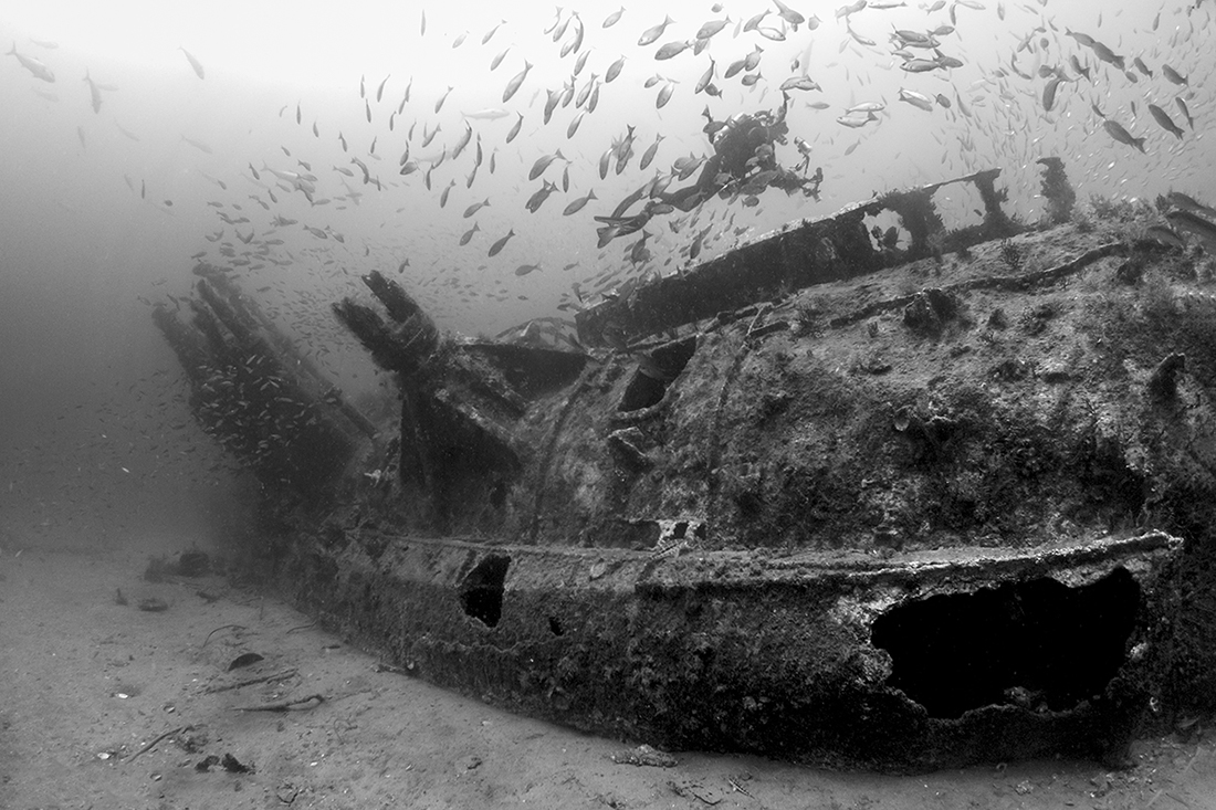 North Carolina’s Wrecks & Sharks - Underwater Journal