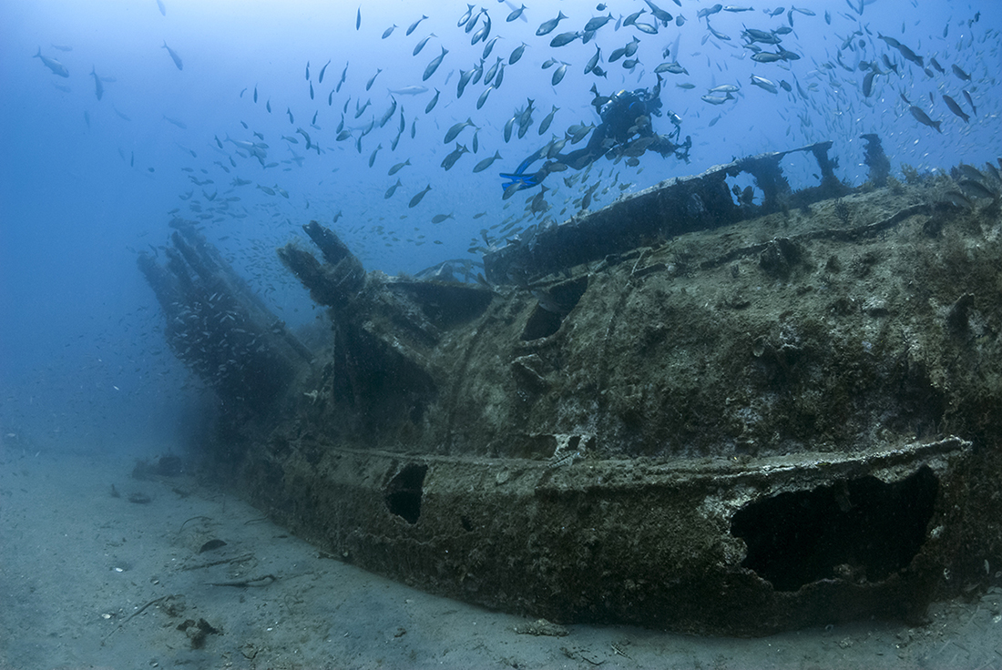 The U-352: North Carolina’s German U-Boat Wreck - Underwater Journal