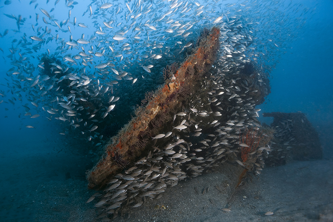 The U-352: North Carolina’s German U-Boat Wreck - Underwater Journal